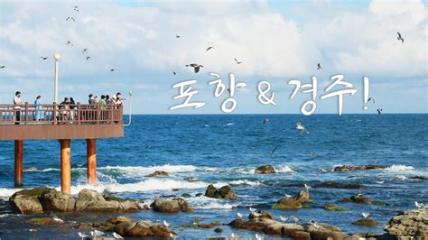 🏄 1박2일 포항여행 경주여행 🌊 동해안 호미곶 황리단길 대릉원 경주야경 Vlog Youtube