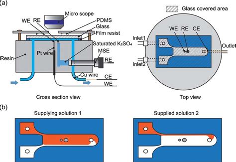 Schematic View Of The Microfluidic Device A Cross Section And Top