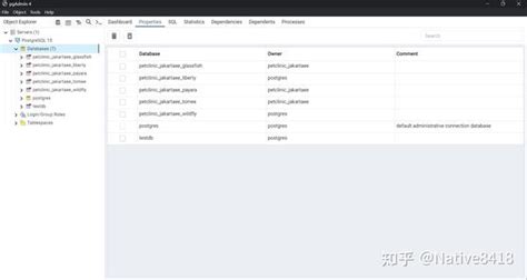 一小时实践入门 pgAdmin 知乎