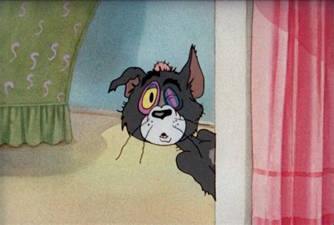 Watch Classic Tom And Jerry Episodes Online Sohoplora