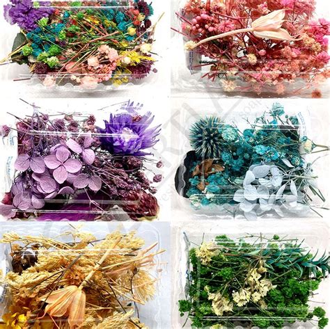Dry Flowers Packs For Resin In Sri Lanka Small Box