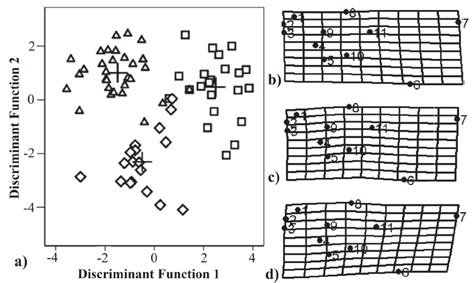A Discriminant Function Versus Discriminant Function For Head Download Scientific Diagram