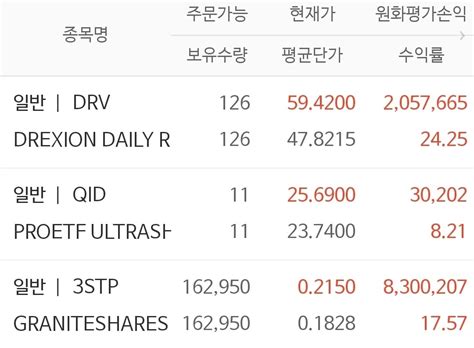 블라인드 주식투자 테슬라 3배 사라