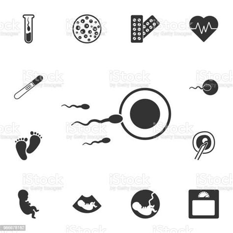 정자 기름 계란 셀 아이콘입니다 간단한 요소 그림입니다 정자를 기름 지 게 한 계란 세포 기호 디자인 임신 컬렉션에서 설정 합니다 웹 및 모바일 사용할 수 있습니다 건강