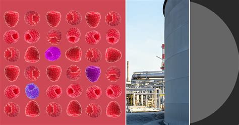 List Anomalies Curated By Catriona Gaston Medium