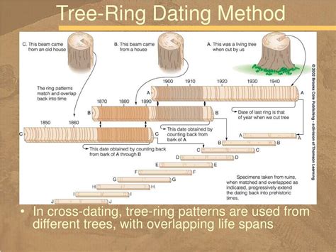 Tree Ring Dating Lesson Plan Lifescienceglobal Com