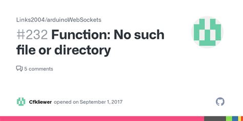 Function No Such File Or Directory Issue 232 Links2004 ArduinoWebSockets GitHub