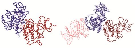 figure 1 2 from structural modeling of protein protein interactions using multiple chain