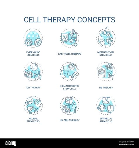Editable Creative Thin Line Icon Set Representing Cell Therapy Stock