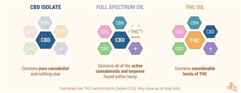 The Difference Between CBD Oil And Cannabis Oil RQS Blog