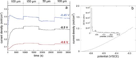 E A Plots Of Current Density Vs Time Of Anodically Polarized Single Download Scientific