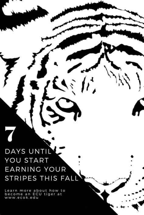 Seven More Days Until Fall Term Makethesedayscount College