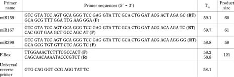 Primer Sequences Used For Stem Loop Rt Pcr And Real Time Pcr Analysis