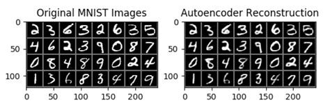 What Happens In Sparse Autoencoder By Syoya Zhou Medium