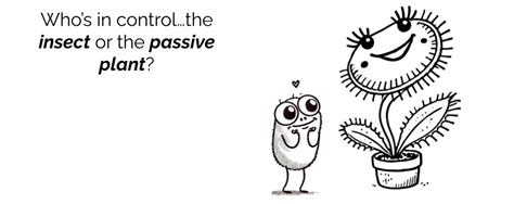 The App Server Is Dead Or Something Like That By Luke Birdeau Aug