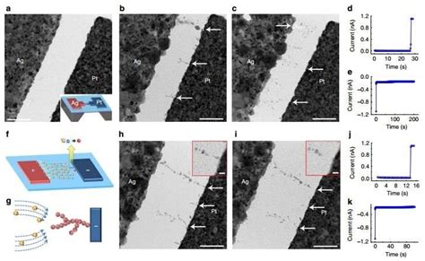 The Phenomenon Of Conducting Filament Dynamics In Sio 2 Based Reram Download Scientific