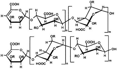 Polysaccharide Molecule