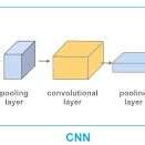 Convolutional Neural Network Download Scientific Diagram