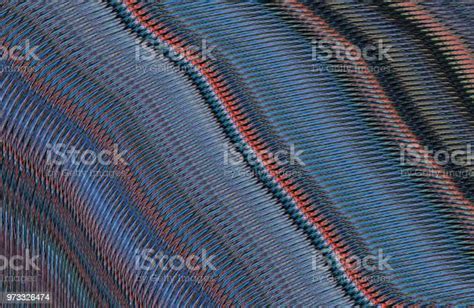 커버 디자인 화려한 그라데이션 미래 기하학적 패턴 현대 추상 커버 세트 모양 및 구성 0명에 대한 스톡 사진 및 기타 이미지 Istock