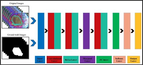 Designed Cnn Model For Skin Lesion Visualization The Convolutional