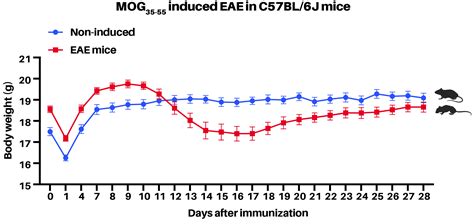 Eae Mouse Model Immunology Cro Innoser