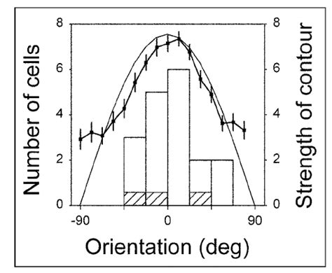 Stimulus Orientation Comparison Of Neuronal Responses And Human