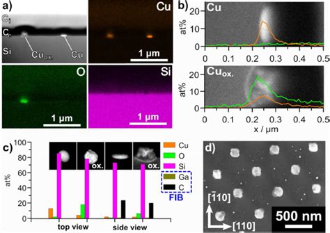 A Sem Images And Edx Mapping Of A Fib Cross Section Of An Oxidized Download Scientific Diagram