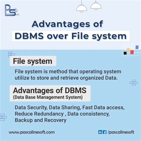 Database Dbms It Filesystem Software Coding Datasecurity Pascaline Soft Private Limited