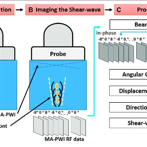 Schematic Of Shear Wave Elasticity Imaging A Shear Wave Download Scientific Diagram
