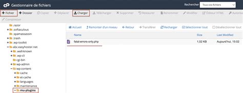 N Enregistrement Que Les Erreurs Fatales Dans Les Logs
