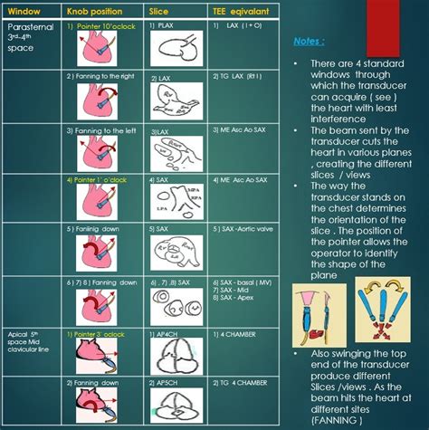 Three Minute Review Transthoracic And Transesophageal Echocardiography