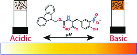 Cartoon Representing Ph Dependent Morphology Transformation Of The
