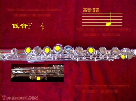 长笛指法图，史上最直观的长笛入门指法图 乐器学习网