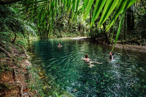 Things To Do In The Daintree Sitchu