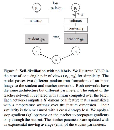 Recent Advances In Self Supervised And Unsupervised Visual Representation Learning 2021~2022