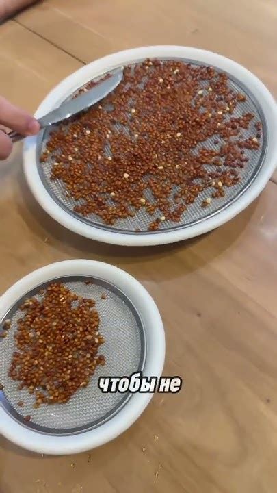 Как семена превращаются в суперфуд Пошаговая инструкция Health рецепты здоровье Energy