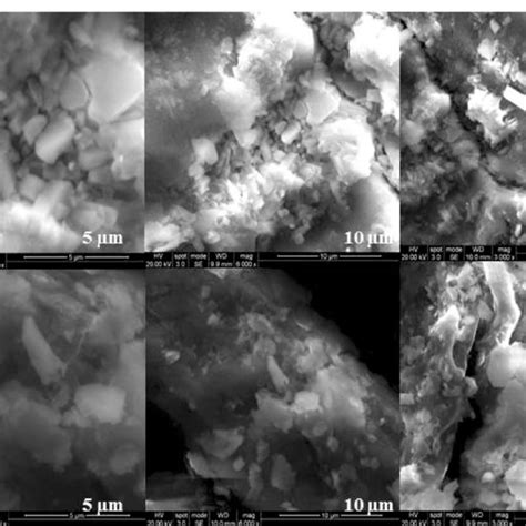 Scanning Electron Microscope Images A Raw Pcb B Bioleaching Residue Download Scientific Diagram