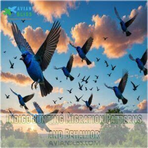 Indigo Bunting Stunning Blue Songbirds Secrets Revealed
