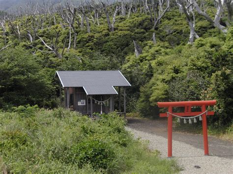 0406 三宅島2015 椎取神社