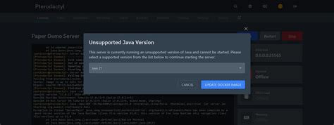 Installing Or Updating Java PaperMC Docs