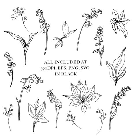 Lily Of The Valley Hand Drawn Line Art Organic Botanical Wedding Line