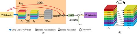 Figure 4 From A Lightweight Network For Contextual And Morphological