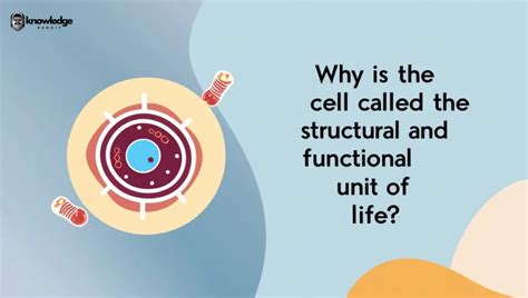 why is the cell called the structural and functional unit of life