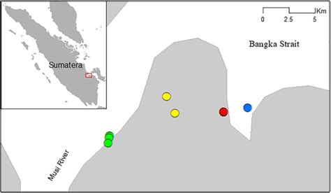 Sampling Points In The Mangrove Ecosystem Of Banyuasin Regency South Download Scientific