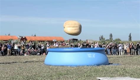 A Giant Inflatable Cockroach Pool Float