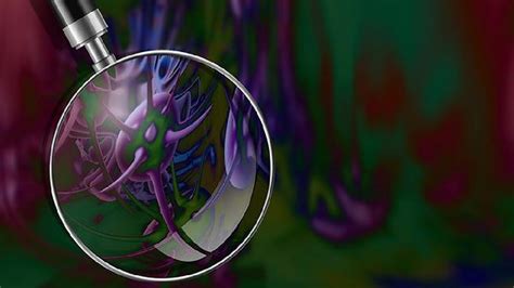 中枢神经系统感染分类有哪些 内科神经内科 复禾疾病百科