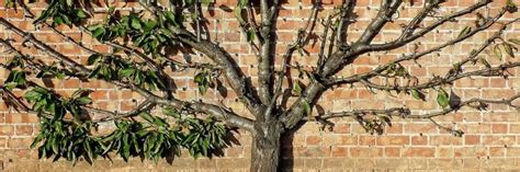 Understanding Implicit Bias For All Of Us Consulting