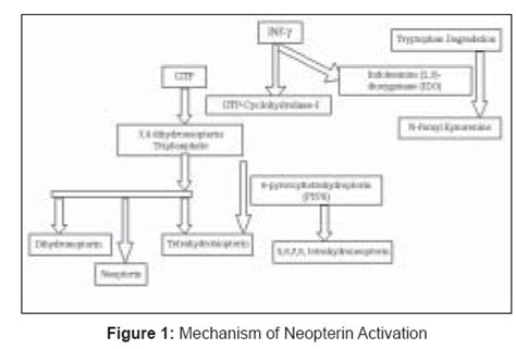 Bioline International Official Site Site Up Dated Regularly