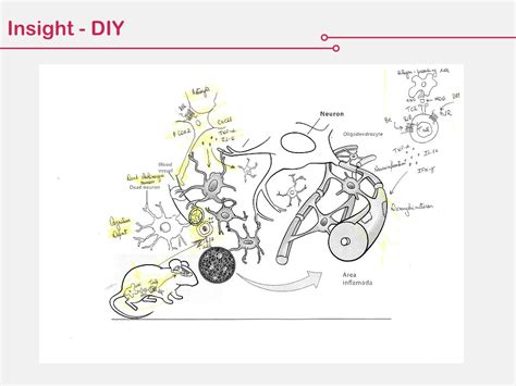 Digitale Merkstrategieën Mind The Graph Productontwikkeling