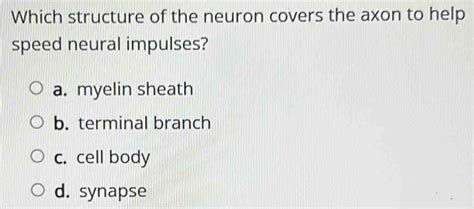 Solved Which Structure Of The Neuron Covers The Axon To Help Speed